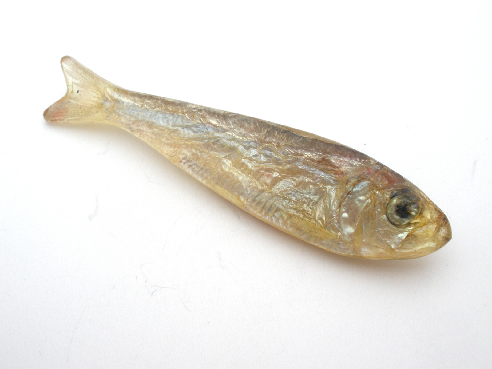Rare Ken Loeber Minnow Brooch Pin Signed Fish Acrylic… - Gem