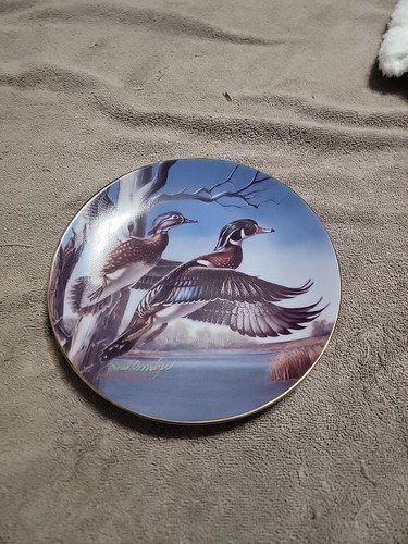 Wood Duck Plate | eBay