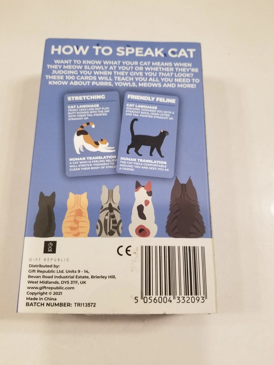 Cat Body Language Translation