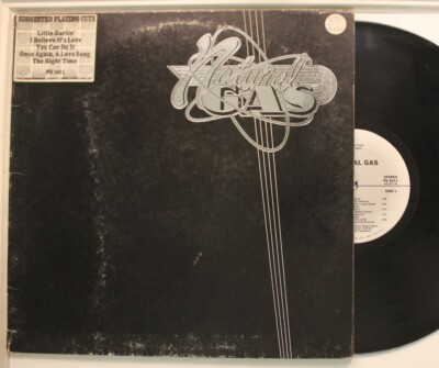 Natural Gas Promo Lp Self-Titled (1976) On Private Stock - Vg++ / Vg+ ...