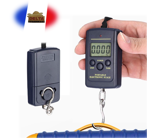 Pèse Bagage Valise électronique Balance Peson 40 kg Voyage | eBay