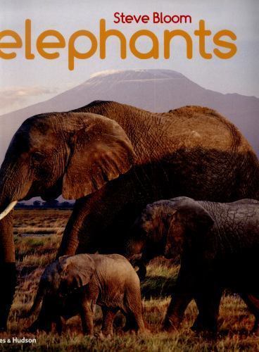 Elephants by Steve Bloom (2015, Trade Paperback) for sale online | eBay