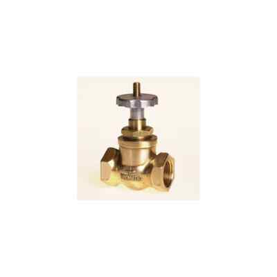 Firomatic B200F 1/2 NPT(F) x 1/2 NPT(F) Globe Valve | eBay