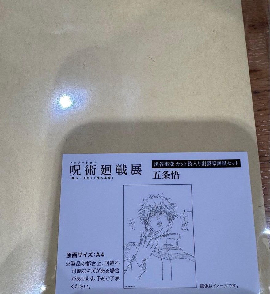 m14 Official Art Print Jujutsu Kaisen Animation Exhibition Cut Bag Set ...