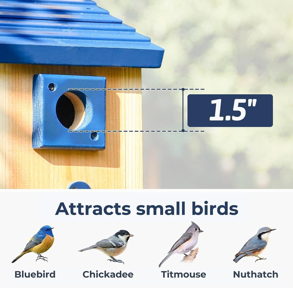 2Pk XL Bluebird Nesting Box - Bird Houses for Outside - Wall Tree Pole ...