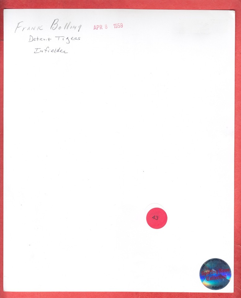 1959 DETROIT TIGERS 8 X 10 GLOSSY TEAM ISSUE PHOTO FRANK BOLLING | eBay