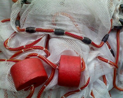 Beach seine/drag net. 30ft X 5ft X 1/4 Inch Square Mesh Bait Minnowe ...