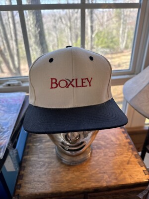 Vintage Boxley SnapBack Hat | eBay