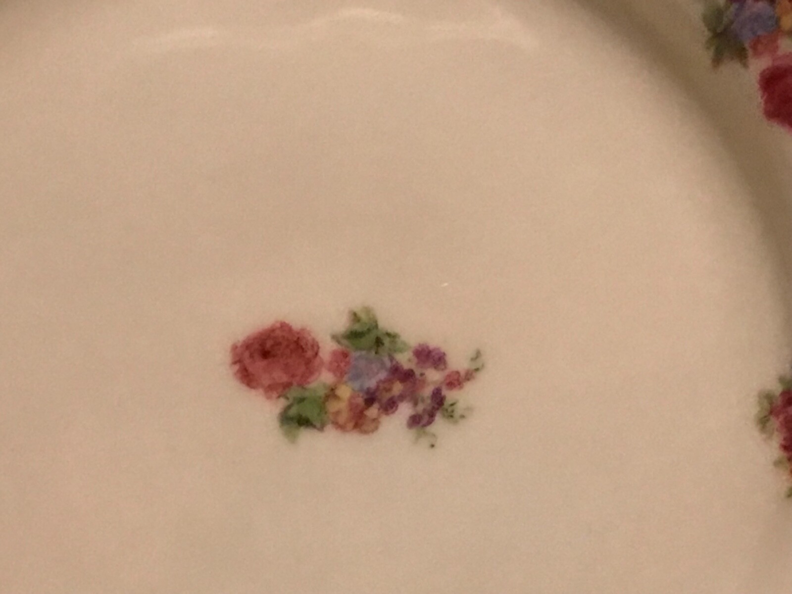 Veg Edelstein Maria-Theresia Victoria Bavaria 6 1/8”Bread Plate Floral ...