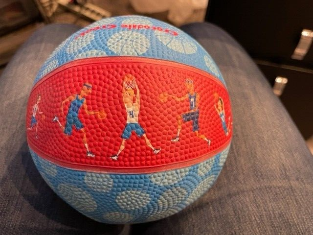 Crocodile Creek 5 inch Playground inflated ball boy's basketball ...