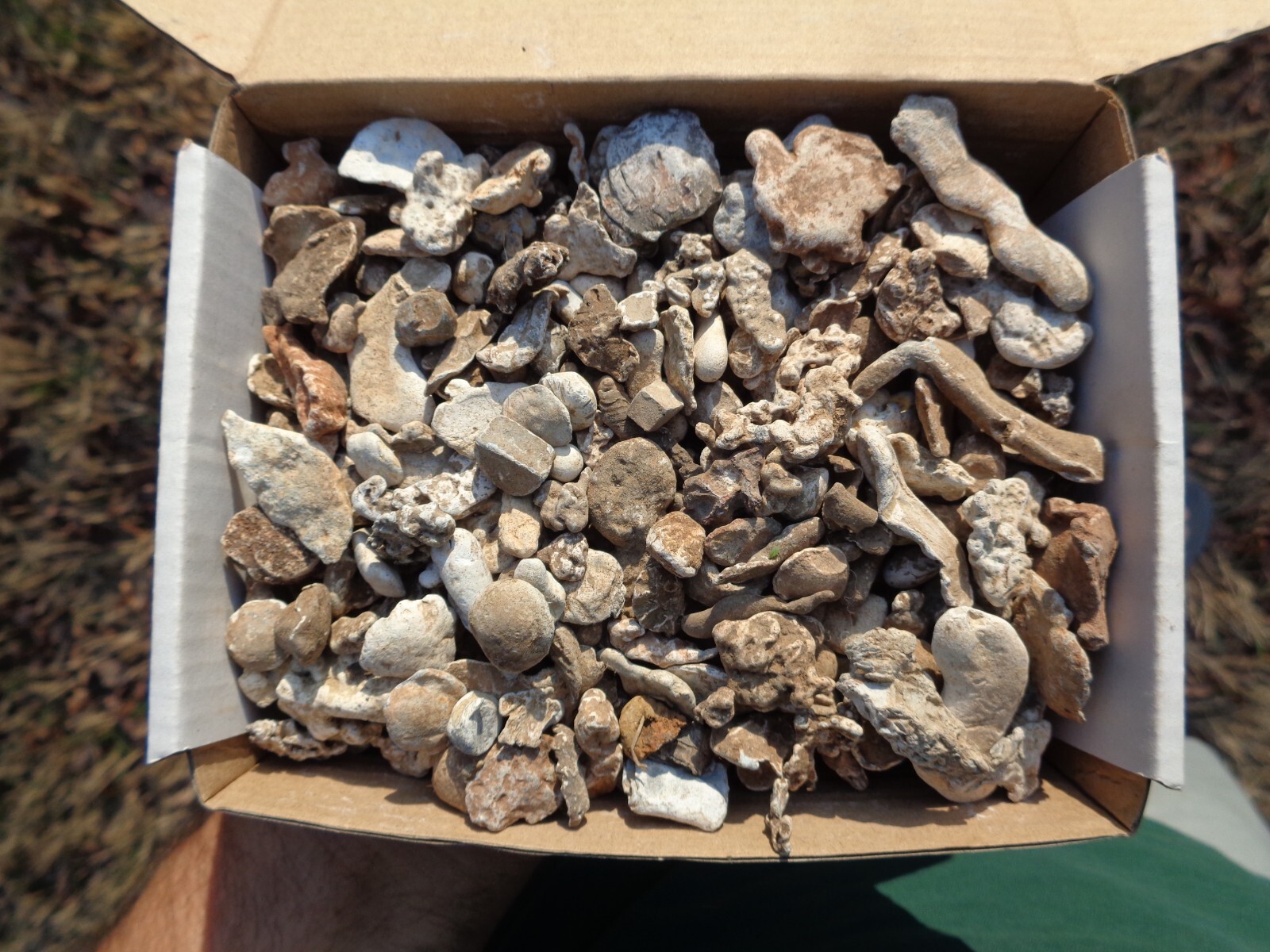 9 Pounds of Civil War Lead Melted Bullets, pieces, Dug in Eastport ...