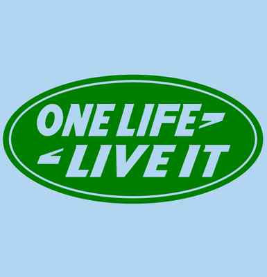 ONE LIFE LIVE IT Decal Sticker for 4X4 AWD EDM Mancave Hot Rod Vintage ...