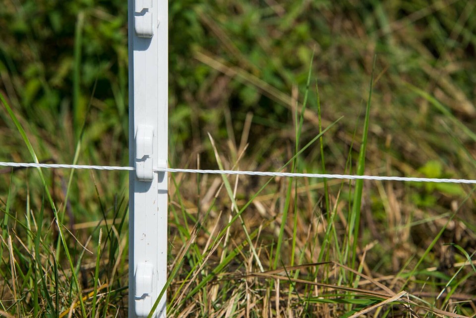 20 x 4FT WHITE ELECTRIC FENCING POSTS Fence Poly Plastic Horse Paddock ...