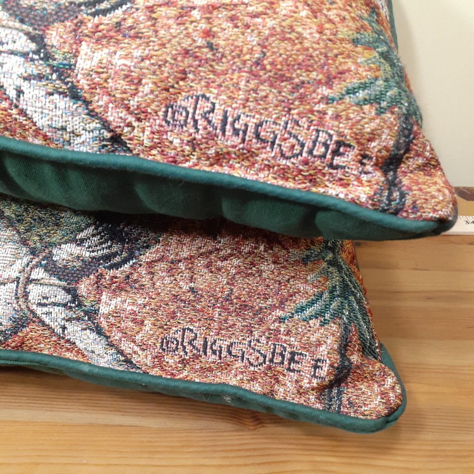 Susan Riggsbee Needlepoint Tapestry set of 2 pillows."Bear Catching a ...