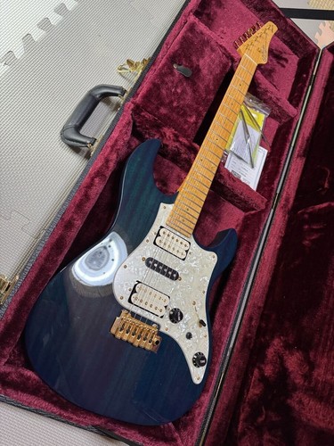 Electric Guitar FGN Fujigen EOS/MH/TBL Birdseye Maple Expert Odyssey ...