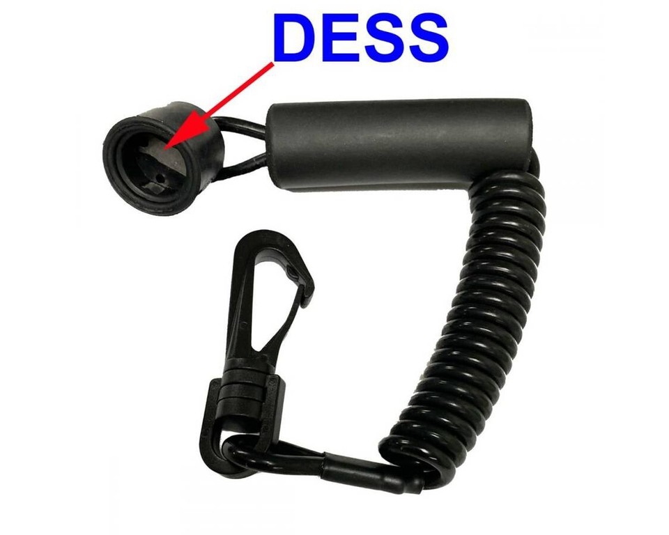 Seadoo Jetski DESS Keys + Key Programming - In Person Only | eBay