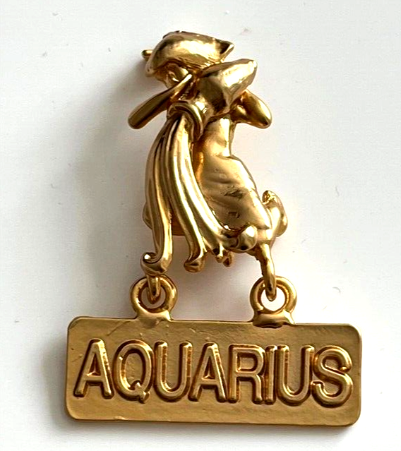 Broche Verseau Horoscope Etoile Chanon Paris Neuf emballé H=5,5cm | eBay