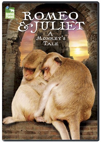 Romeo & Juliet: A Monkey's Tale | eBay