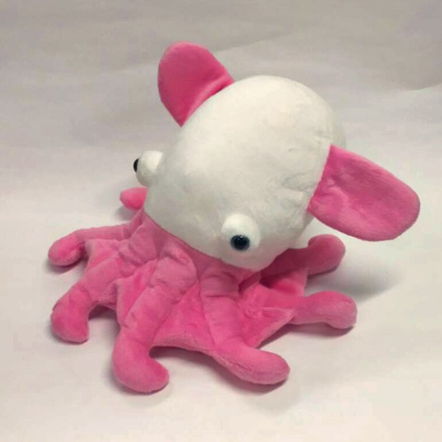 Dumbo Octopus Soft Plush cute & realistic | eBay