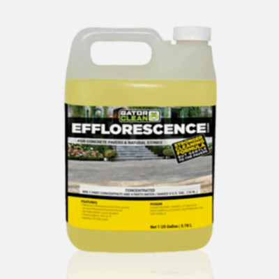Alliance Gator Clean Efflorescence Cleaner for Pavers & Natural Stone 1 ...