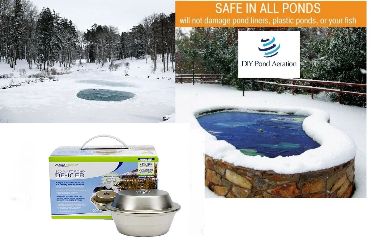 Floating Fish With Ice Underneath