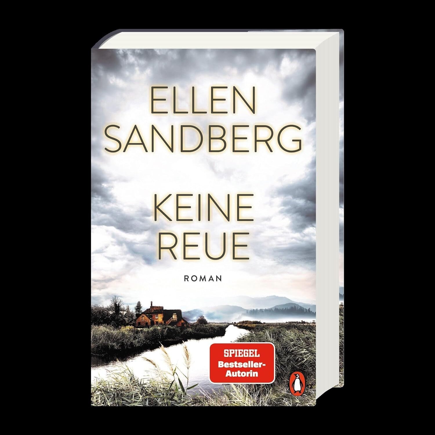 Ellen Sandberg Keine Reue: Roman. Dunkle Geheimnisse und menschliche ...