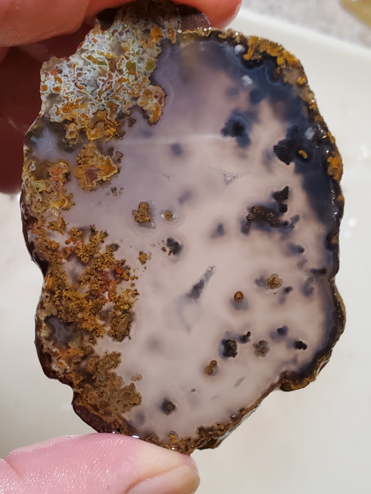 2 Woodward Ranch Pom-Pom Tube Plume Agate Rough Alpine Texas 92g | eBay