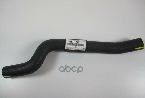 16571-74371 Toyota Hose, radiator, inlet 1657174371, New Genuine OEM ...