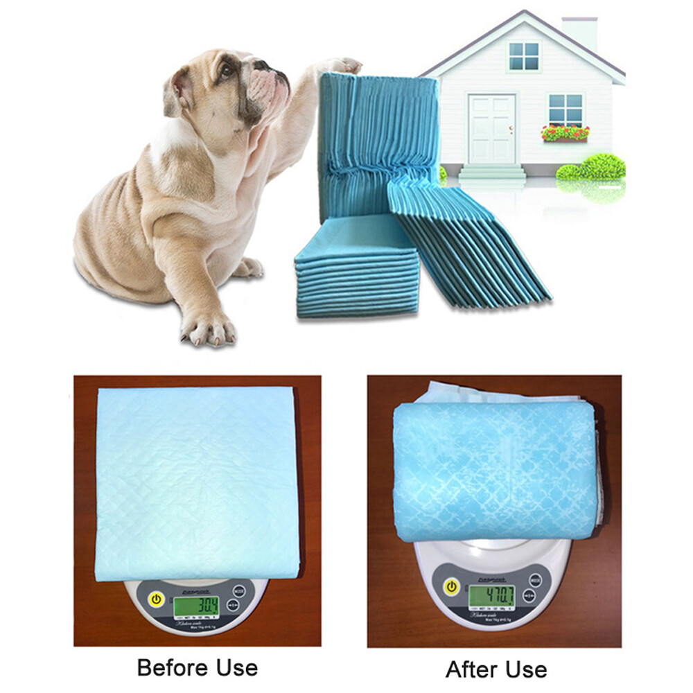Large Puppy Training Trainer Train Pads Toilet Pee Wee Mats Poo Dog Pet ...