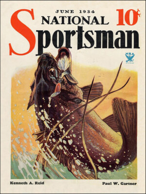 Vintage 1934 National Sportsman magazine cover reproduction metal sign ...