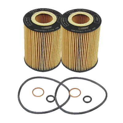 Hengst Pair Set of 2 Engine Oil Filters For BMW E53 E60 E63 E64 E65 | eBay