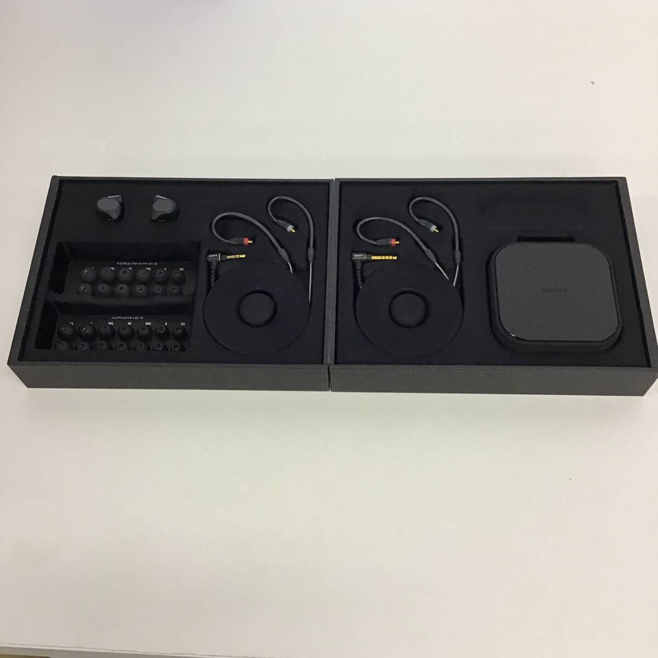 Sony IER-M9 In-Ear Monitor Headphones Hi-Res 5BA Balanced Armature ...