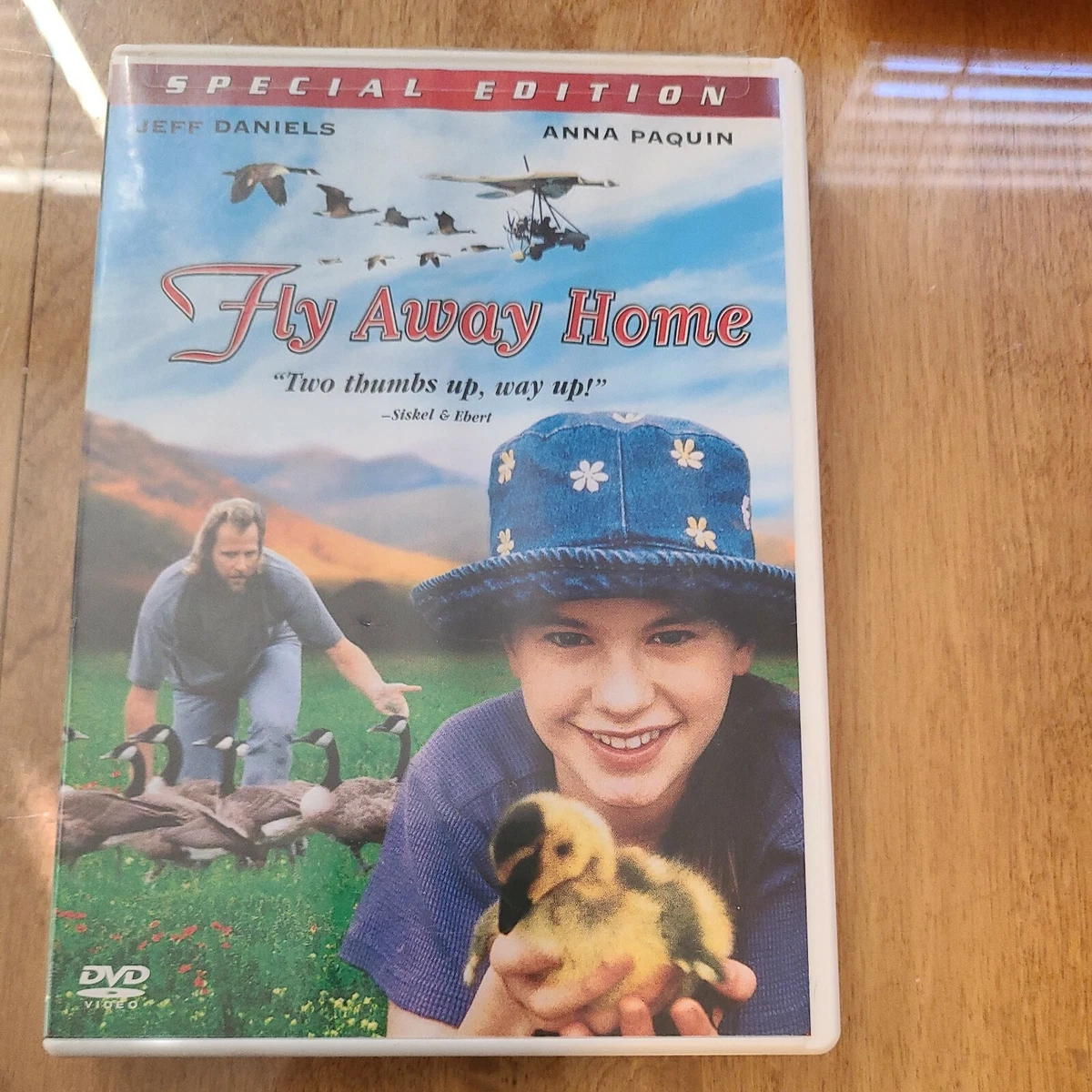 Jeff Daniels Fly Away Home