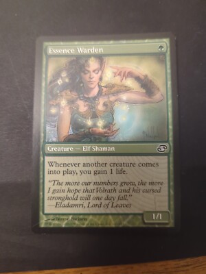 Essence Warden Planar Chaos LP MTG English | eBay
