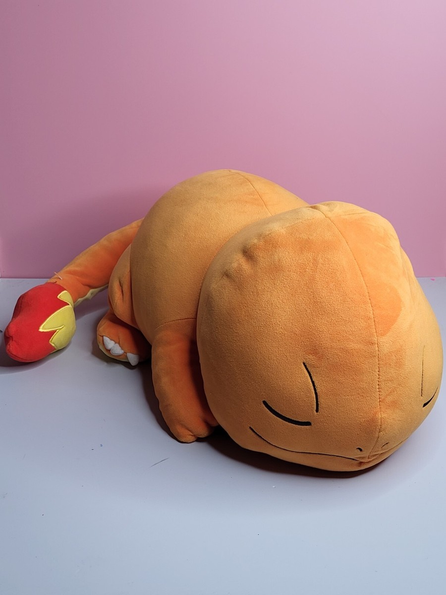 Charmander Sleeping