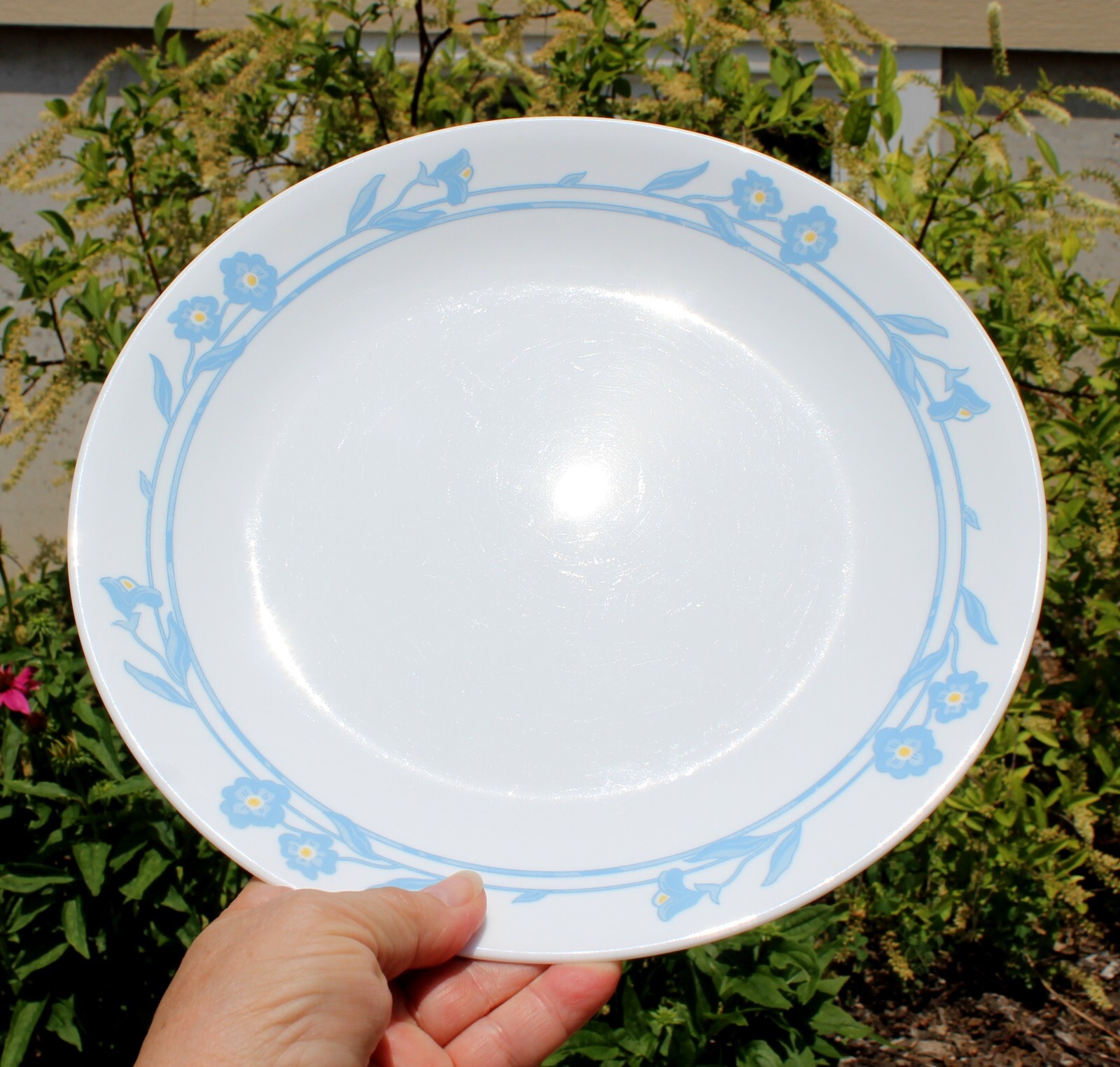 Single Corelle Dinner Plate 10 1/4" Cornsilk Corn Silk White Blue ...