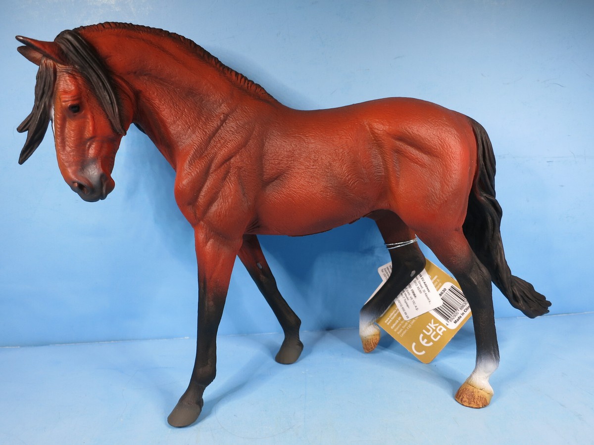 Bay Andalusian Horses Basic Level Iberian Horses PRE HORSES FOR