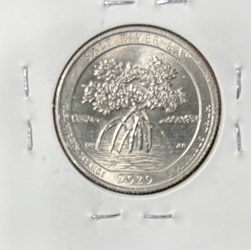 2020 W Salt River Bay US Virgin Islands West Point Quarter PRIVY V75 ...