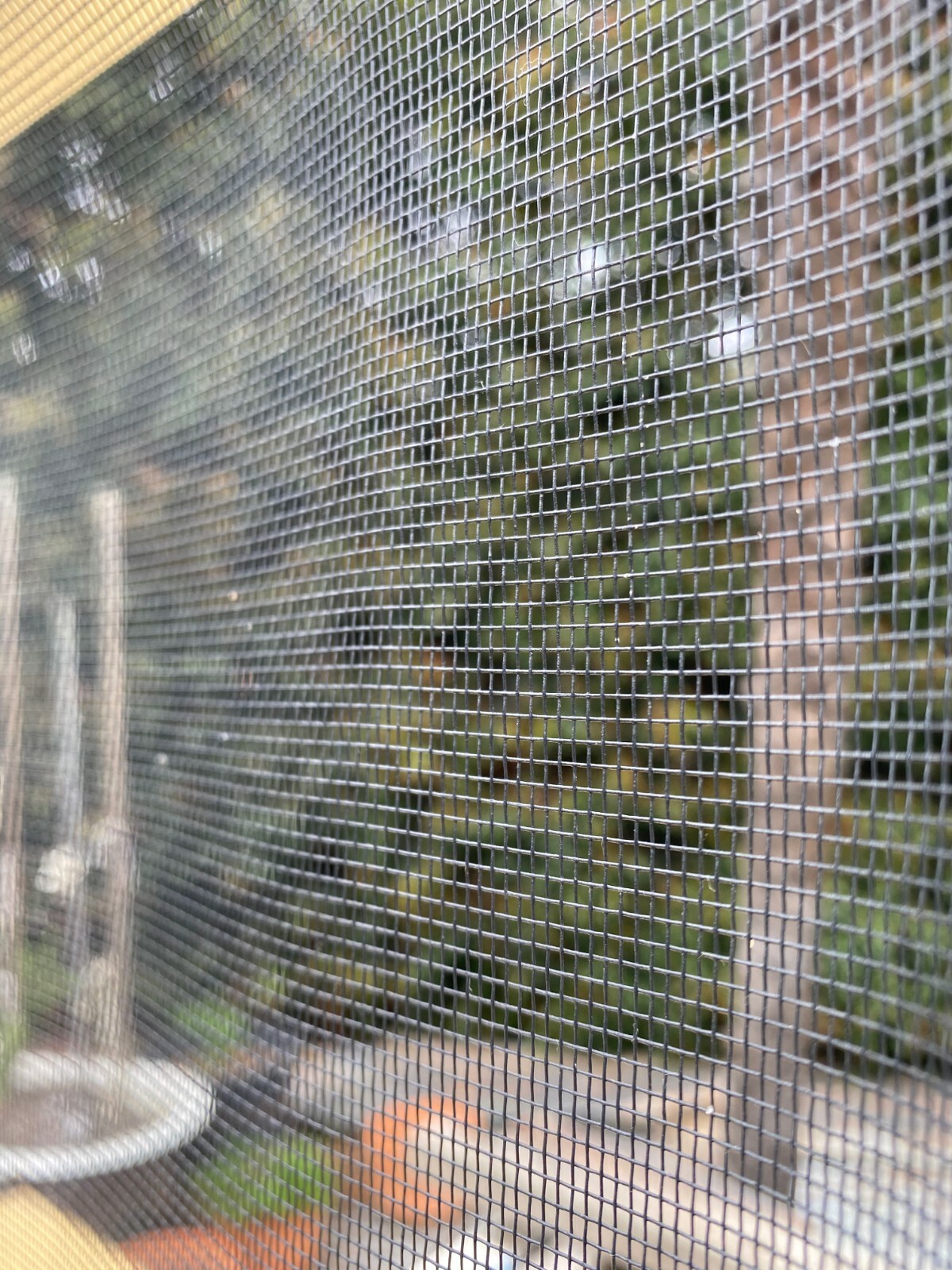 Western Red Cedar TIMBER FLYWIRE SCREEN DOOR house flyscreen fly wire ...