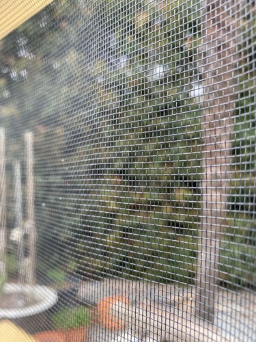 Western Red Cedar TIMBER FLYWIRE SCREEN DOOR house flyscreen fly wire ...