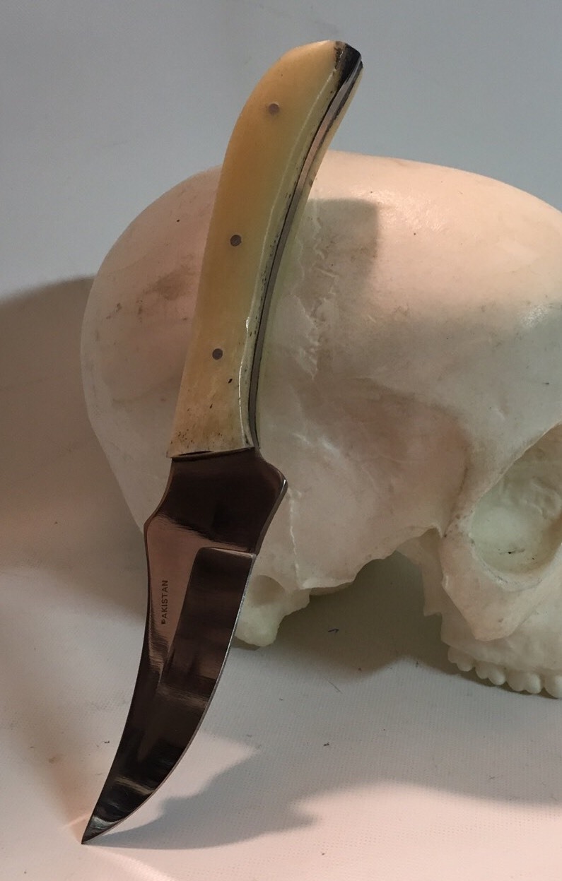 bone handle fixed blade knife | eBay