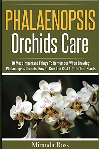 Phalaenopsis Orchids Care : 30 Most Important Things to Remember When ...