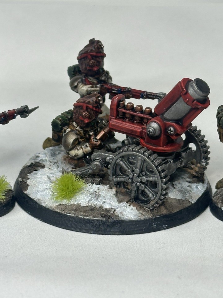 Warhammer 40k Valhallan Ice Warrior Squad + Heavy Weapon COMMISSION ...