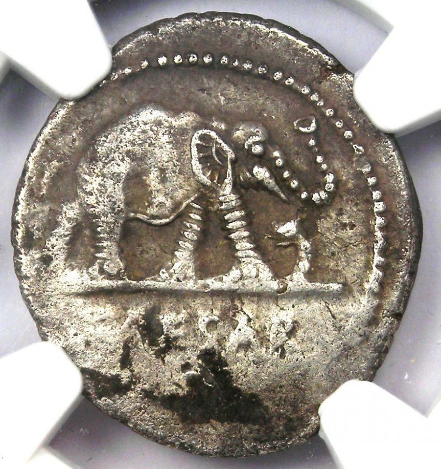 Julius Caesar AR Denarius Silver Elephant Roman Coin 49 BC - NGC Choice ...