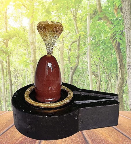 Blessed Black Shaligram Shiva Ling/Shivling with Brass Jalahari Yoni ...