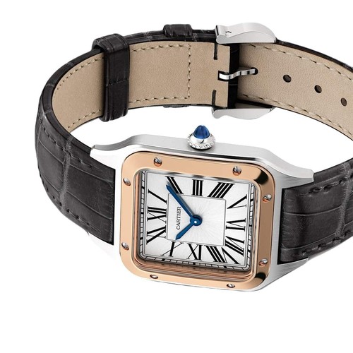 New Cartier Santos-Dumont Rose Gold & Steel Watch Small W2SA0012 | eBay