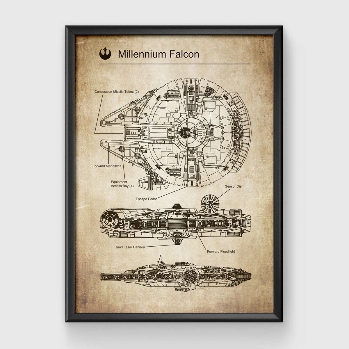 Millennium Falcon Blueprint Poster