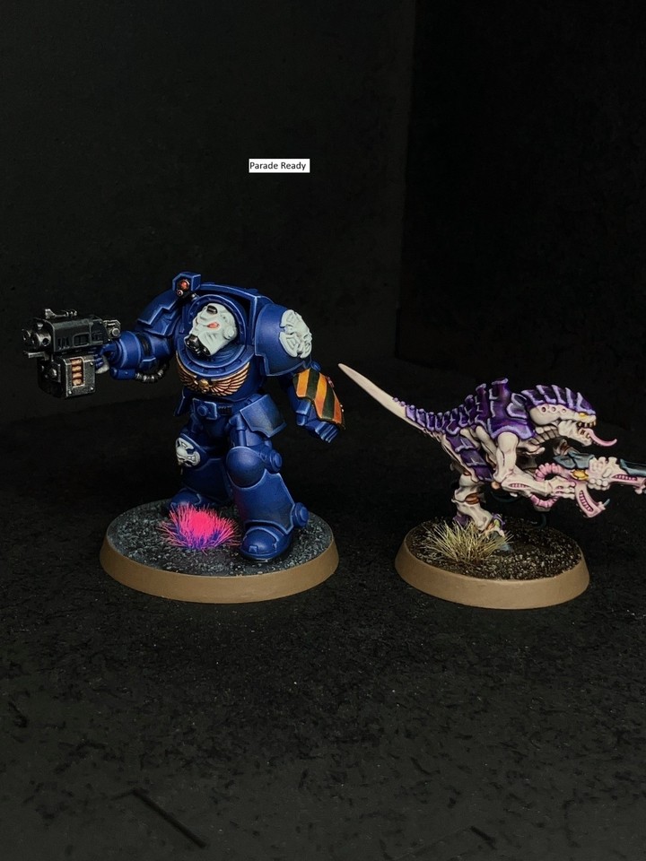 Warhammer 40K 2,000 pt Lamenters Army Commission Service | eBay