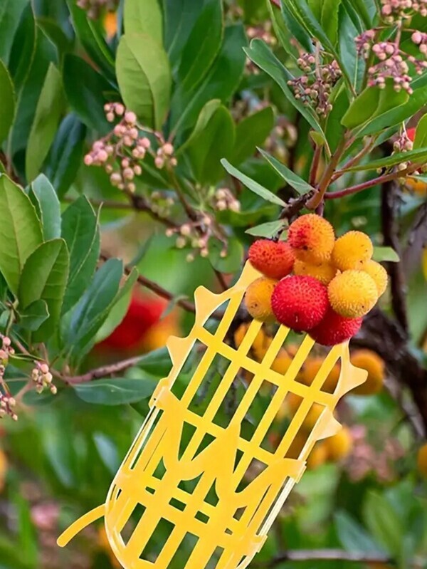 Fruit Picker Basket Head Long Handle Apple & Fruit Picker | eBay UK