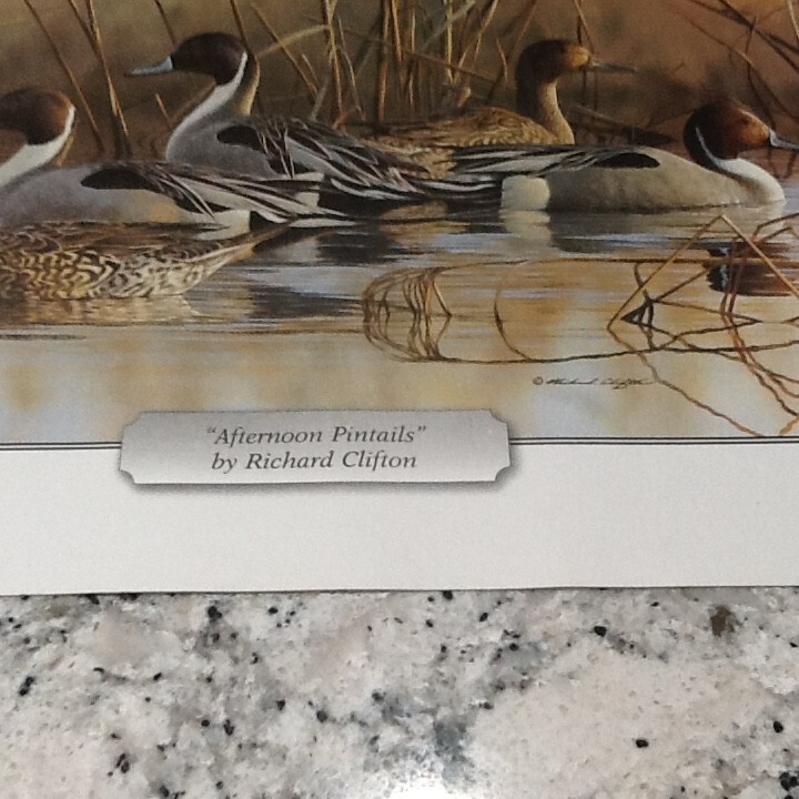 Richard Clifton Art Print ''Afternoon Pintails '' | eBay